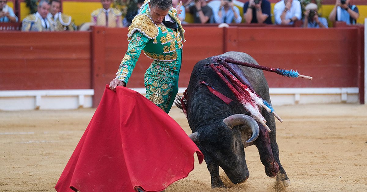 Gesta de Escribano en el encierro con seis victorinos: cinco orejas y ...