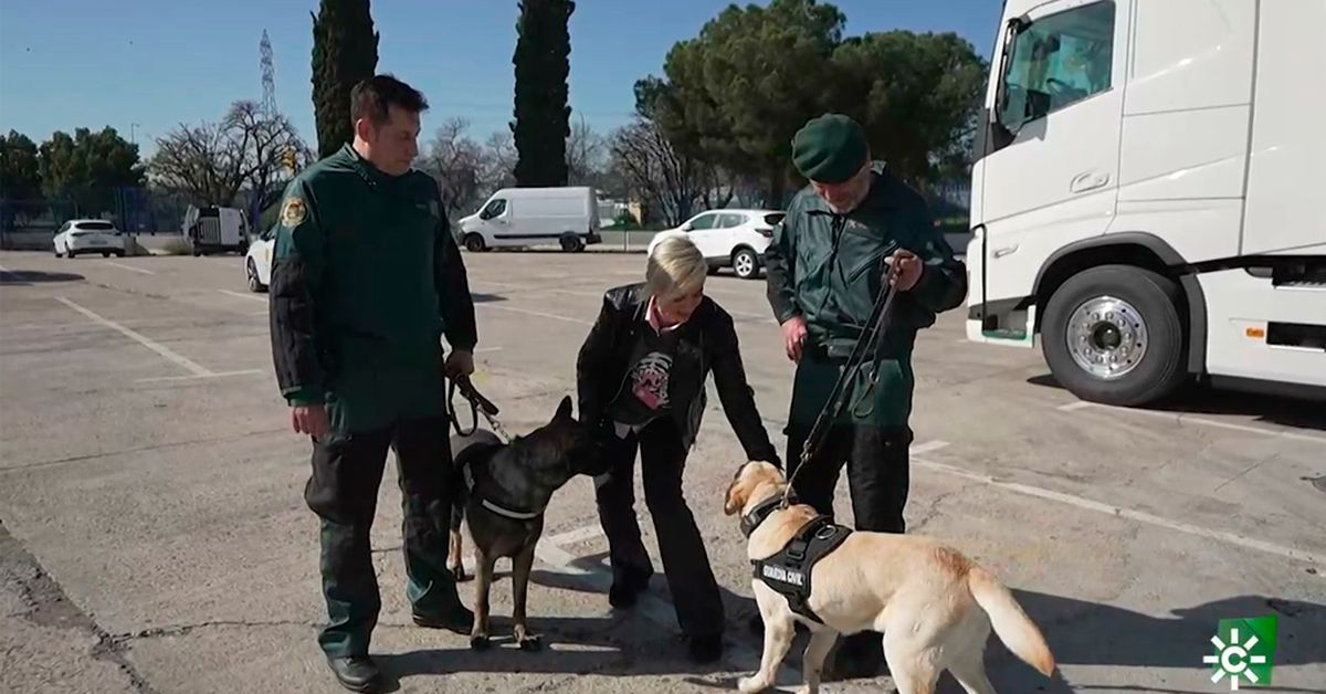 Nala y Nalma, dos perritas de la Unidad Cinológica dedicadas a ...