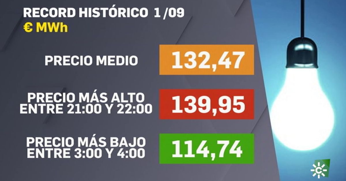 Cáritas denuncia que hay más familias vulnerables por la subida de la luz