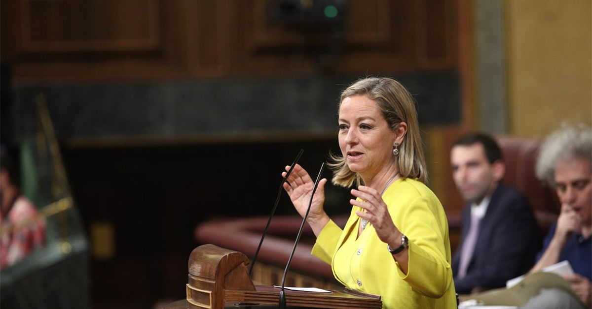 Oramas pide disculpas por su referencia a Las Tres Mil Viviendas