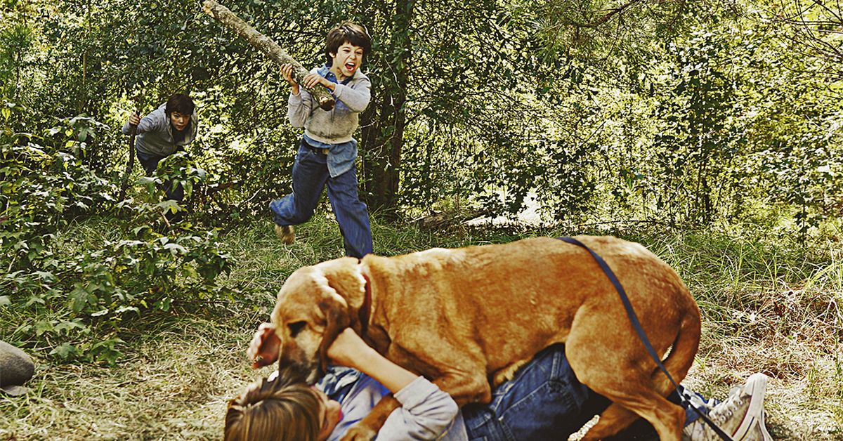 "Alabama Moon" completa la mañana de cine familiar de Año Nuevo en ...