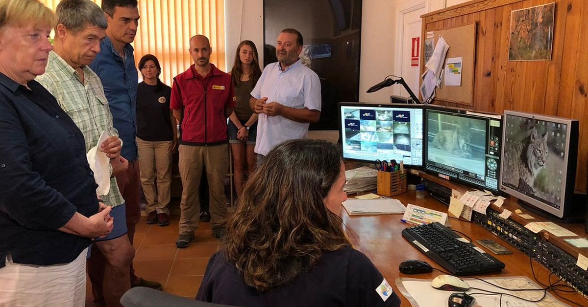 Visita al lince ibérico
