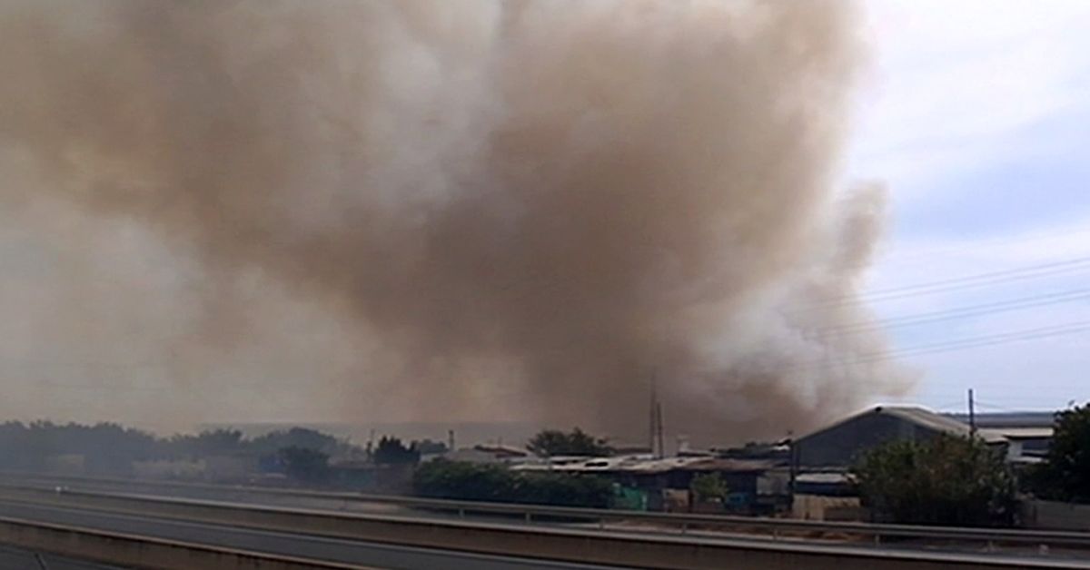 El viento reactiva el incendio en Marismas del Burro