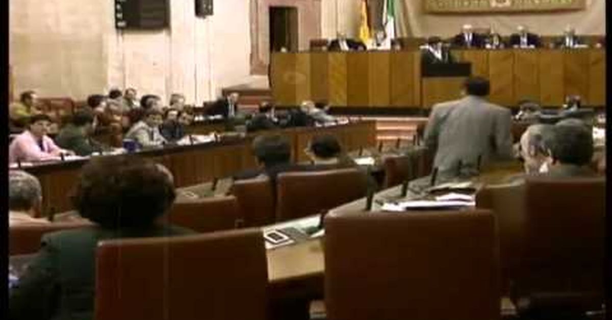 El pasado de los parlamentarios andaluces