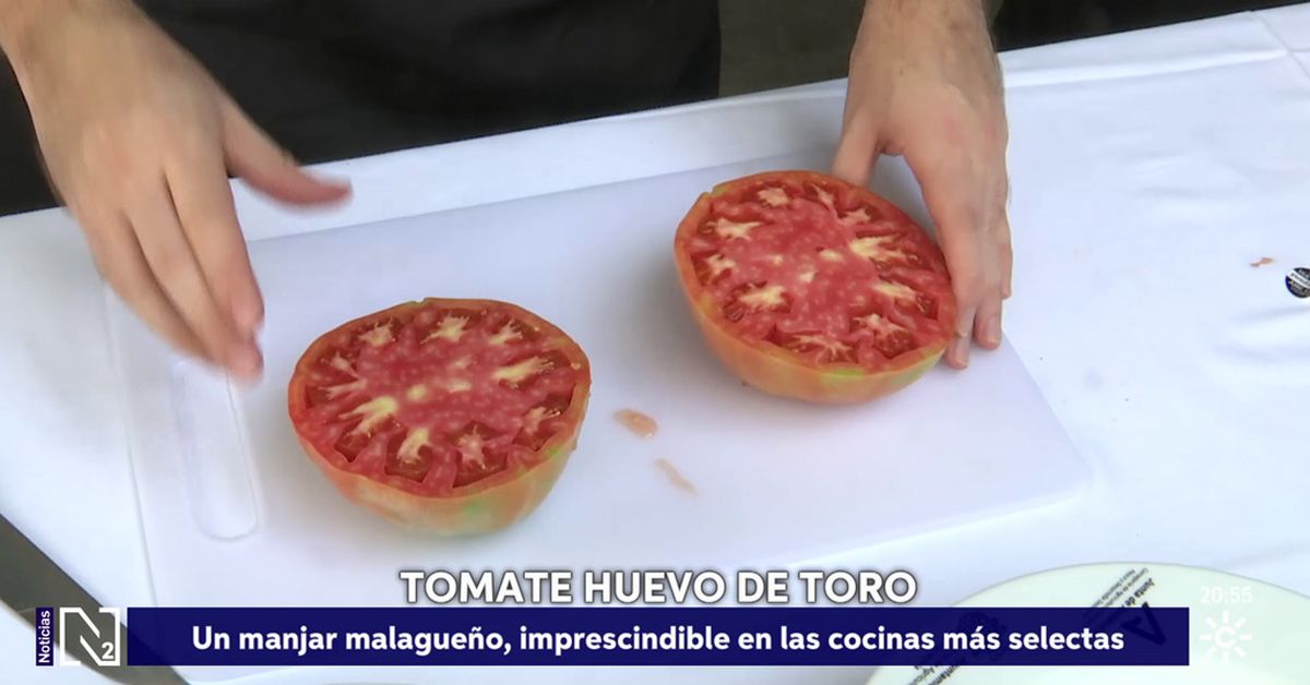 El tomate huevo de toro, un manjar del Valle del Guadalhorce