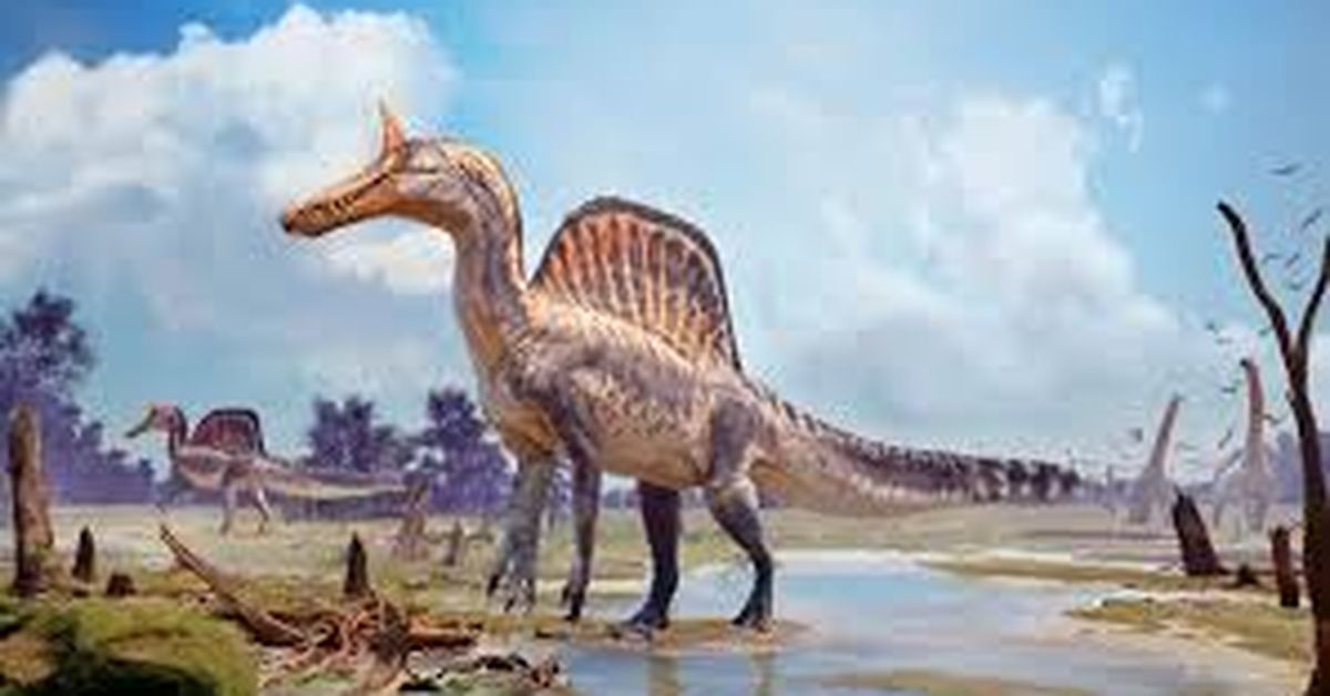 Hallan en el desierto del Sáhara un espinosaurio de 13 metros