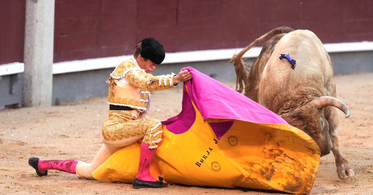 Toros
