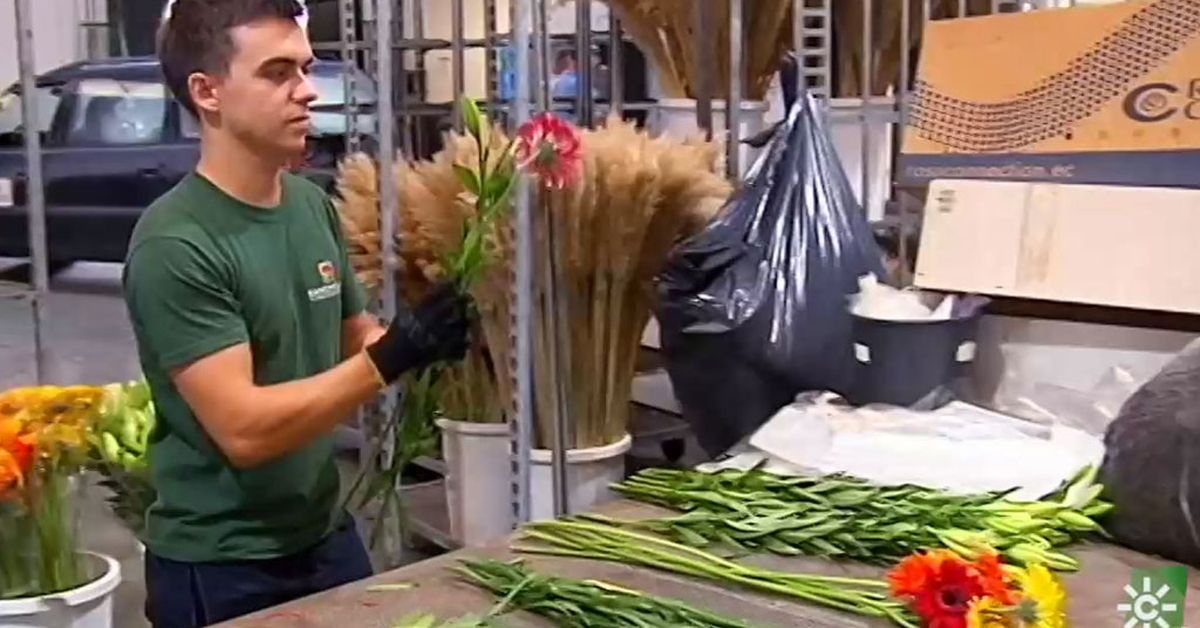 El sector de la flor cortada apuesta por la mejora ambiental ...