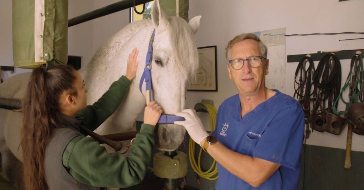 Cómo es el ojo y la visión de un caballo, con el veterinario Fernando Sanz