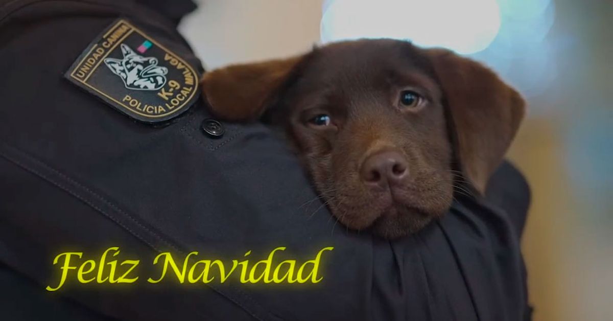 Keta, la perrita policía que ha causado furor con su felicitación de ...