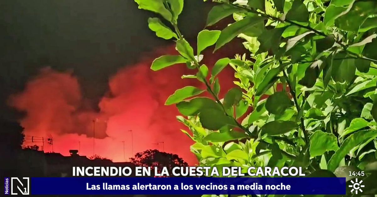 Susto en Camas por un incendio provocado por cohetes
