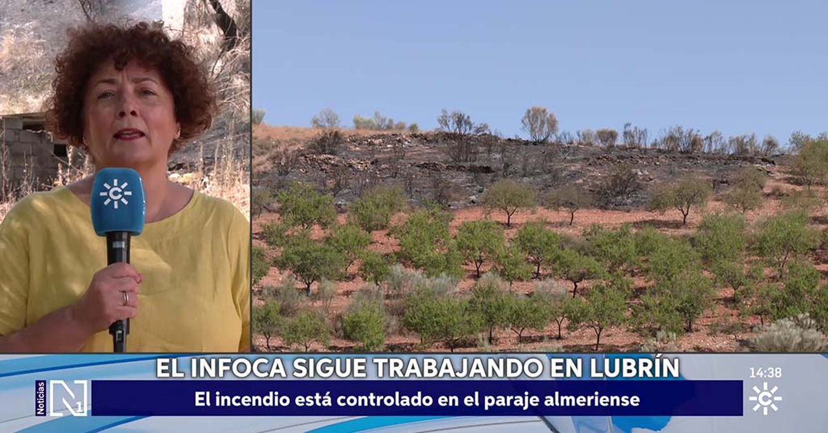 El incendio de Lubrín arrasa 400 hectáreas de pasto y matorral