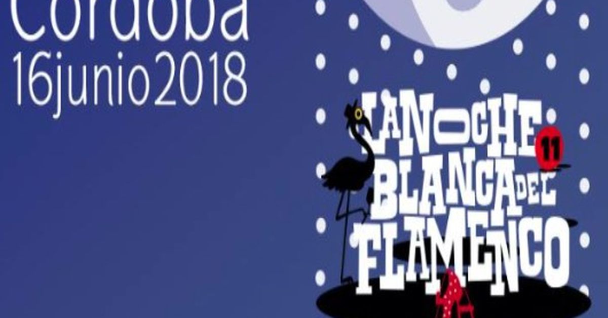 XI Noche Blanca del Flamenco