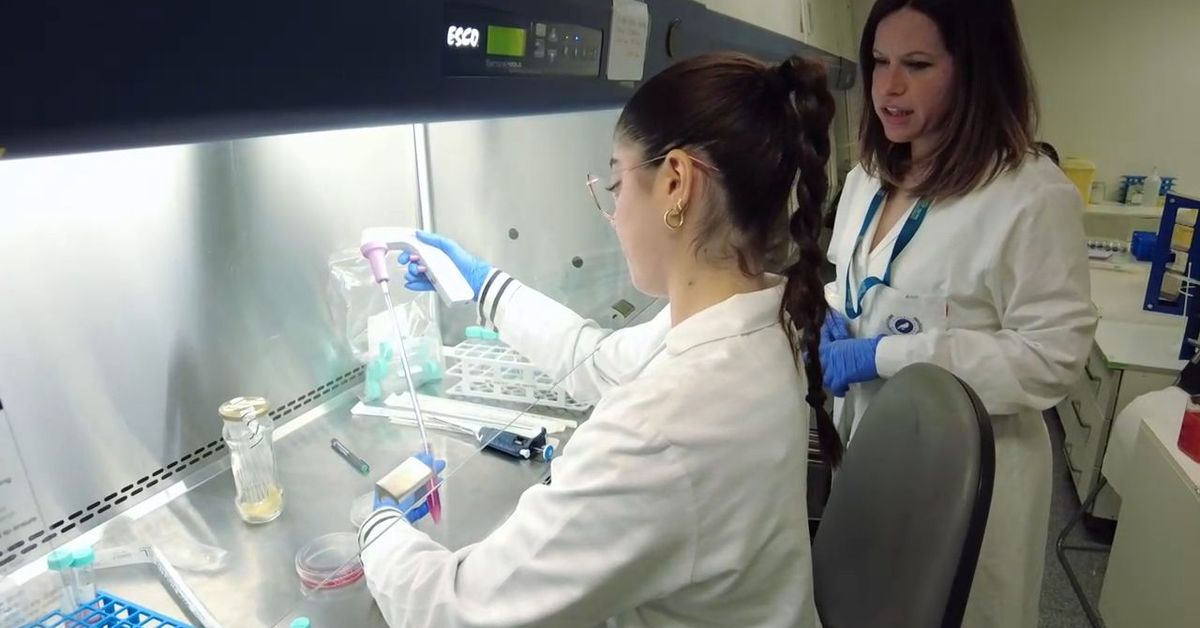 ConCiencia: Un compuesto natural contra el cáncer