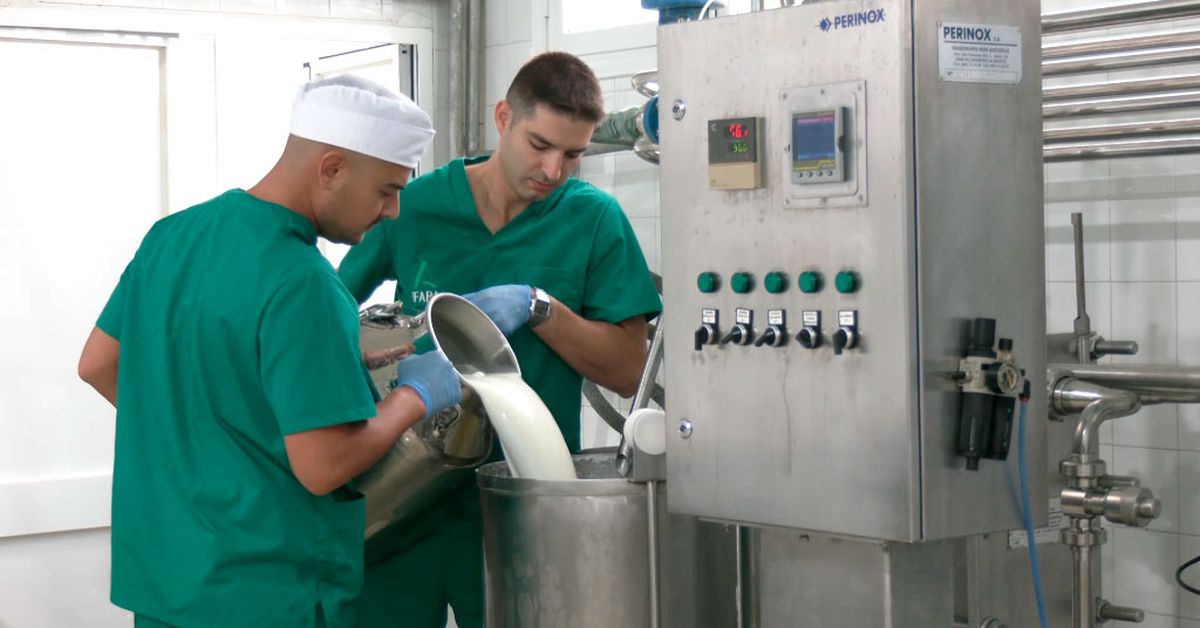 En Hinojosa de Córdoba se forman los mejores maestros queseros