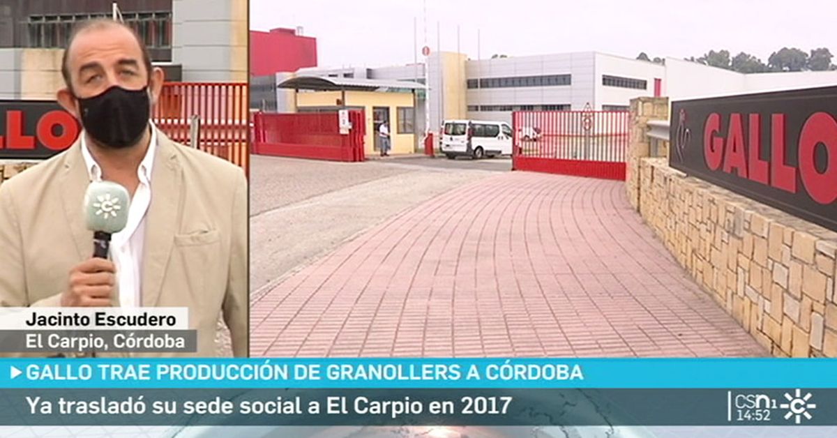 Gallo traslada a El Carpio su producción de pasta seca