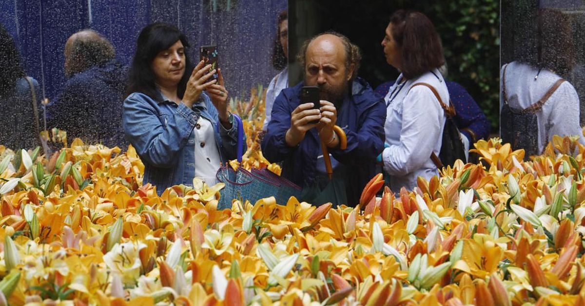 El Festival Flora de Córdoba se dedicará este año a la inteligencia vegetal