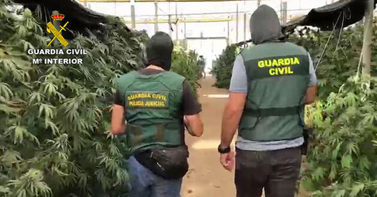 Siete detenidos por el secuestro de un hombre en Níjar