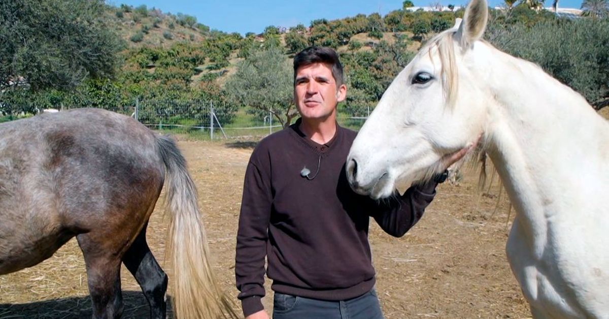 Agustín Aragón dejó la oficina para dedicarse a la crianza del caballo ...