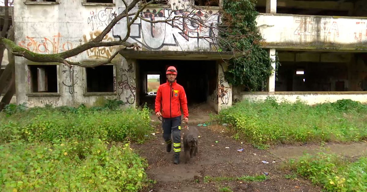 Sergio Botello, Bomberos para el mundo