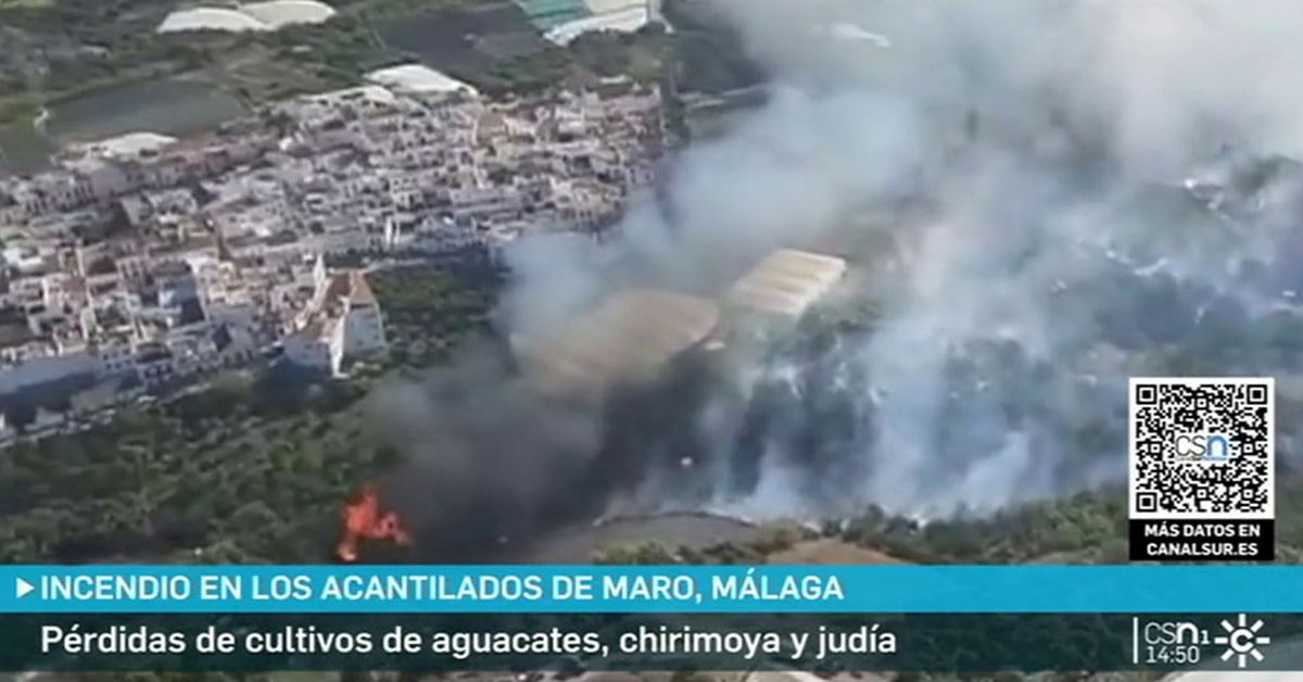 Un incendio en Maro arrasa cultivos tropicales e invernaderos