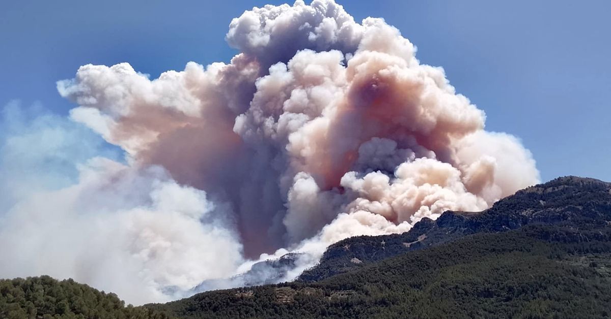 Un incendio forestal en Tarragona obliga a confinar a 18.000 vecinos