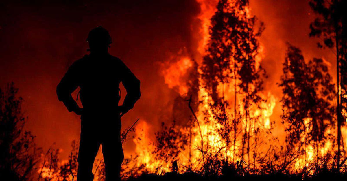 Un gran incendio sigue activo en el centro de Portugal, donde hay 8 heridos