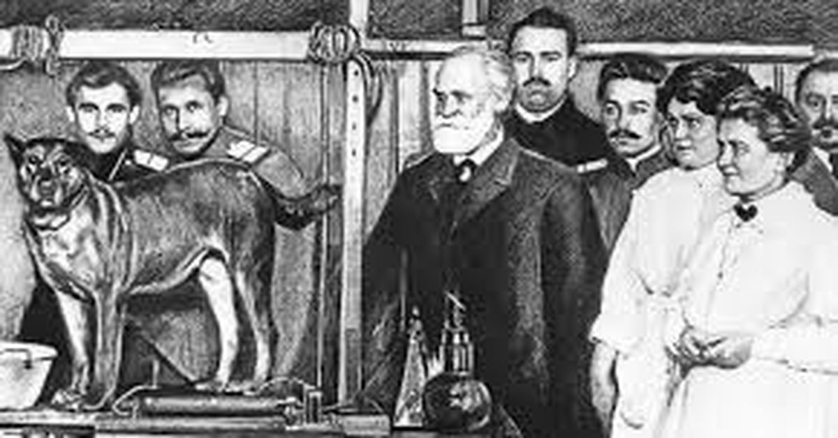 Iván Pavlov y sus experimentos con perros