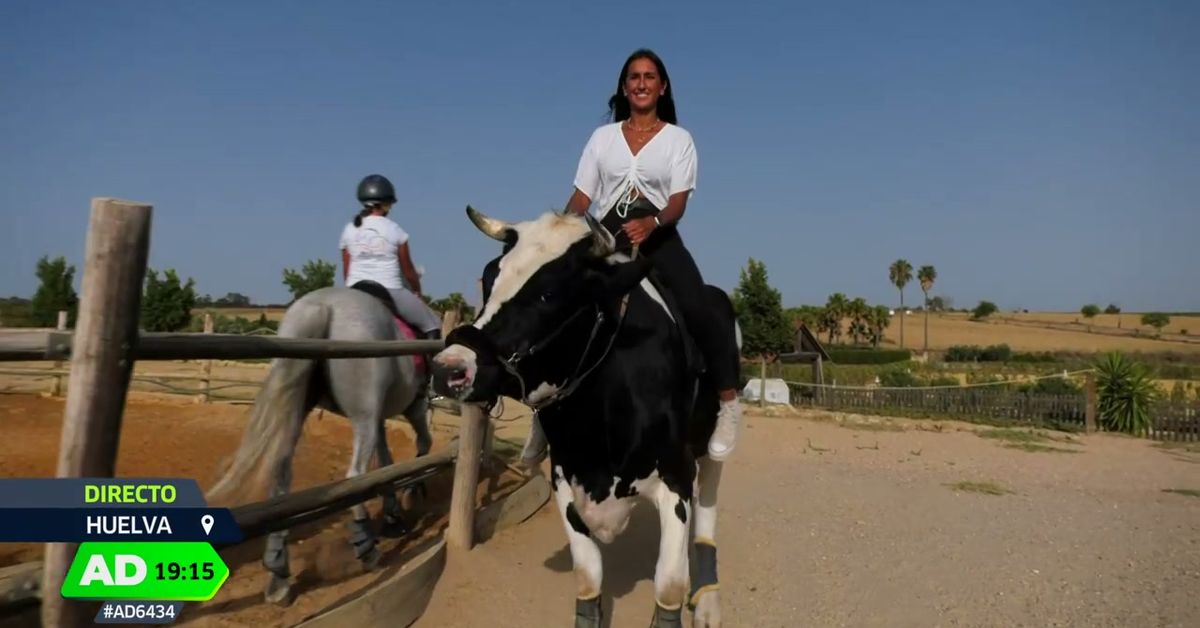 Matti es una vaca lechera de Rociana del Condado que se cree caballo