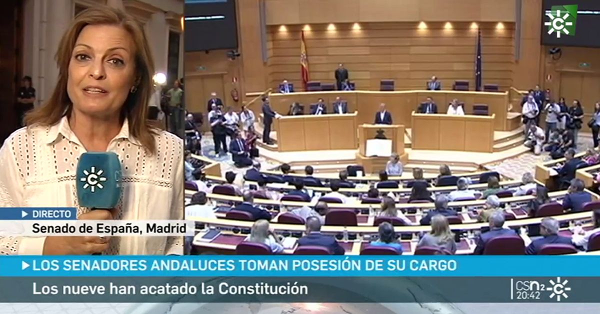 Los senadores andaluces toman posesión de sus cargos