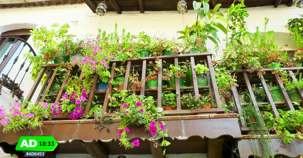 Ventanas y balcones de Fuenteheridos resplandecen para un concurso en ...