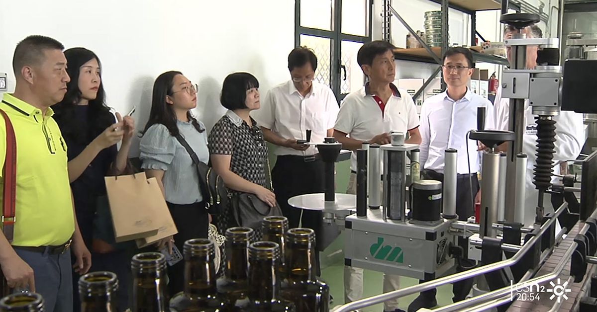 China descubre el aceite de oliva de Jaén