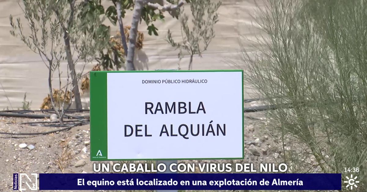 Un caballo con virus del Nilo en Almería
