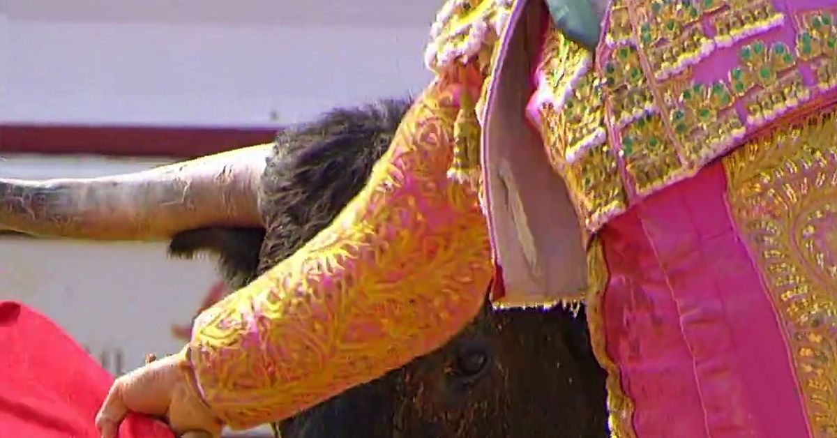 Tarde de toros en Canal Sur, desde Roquetas de Mar