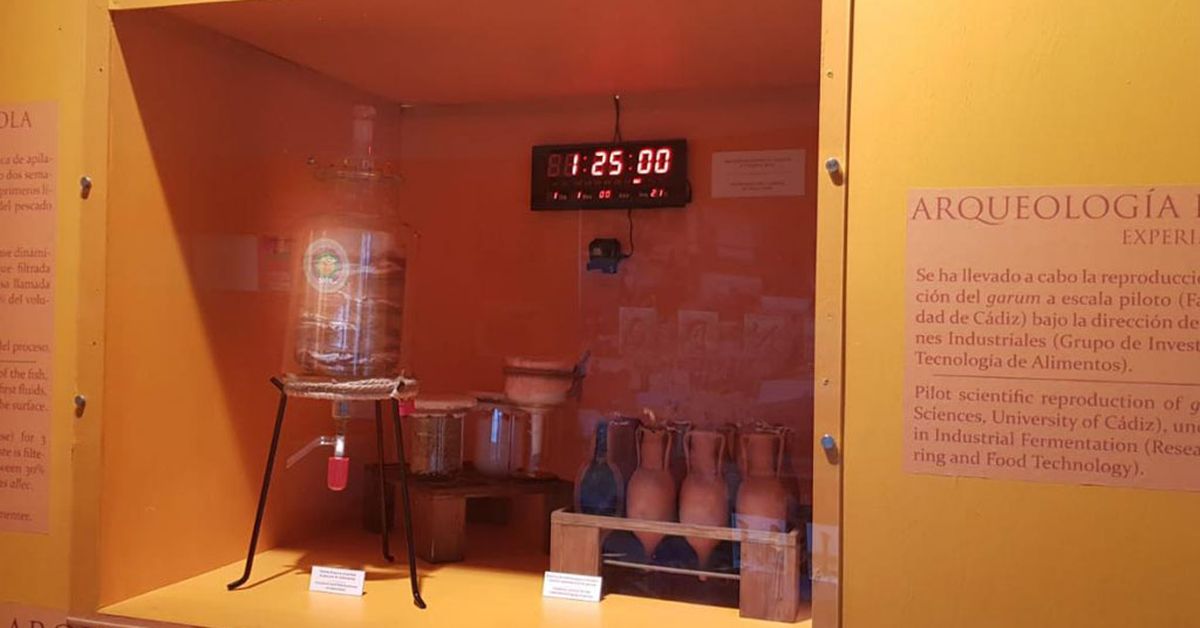 Los secretos del Garum al descubierto en Baelo Claudia