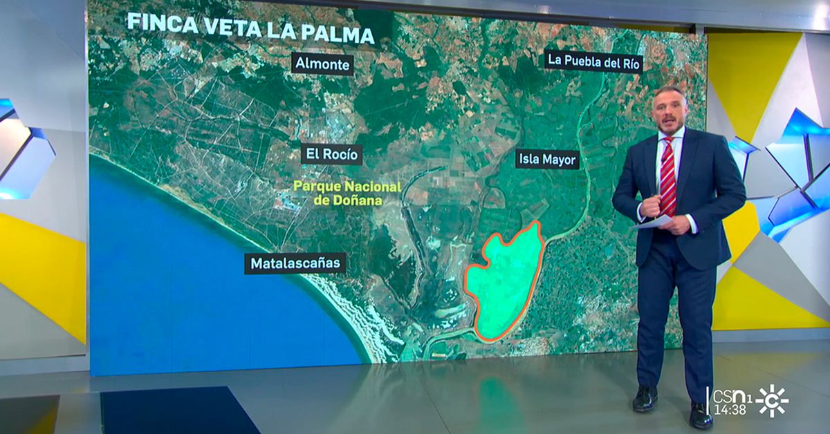 Veta la Palma, un oasis para las aves acuáticas