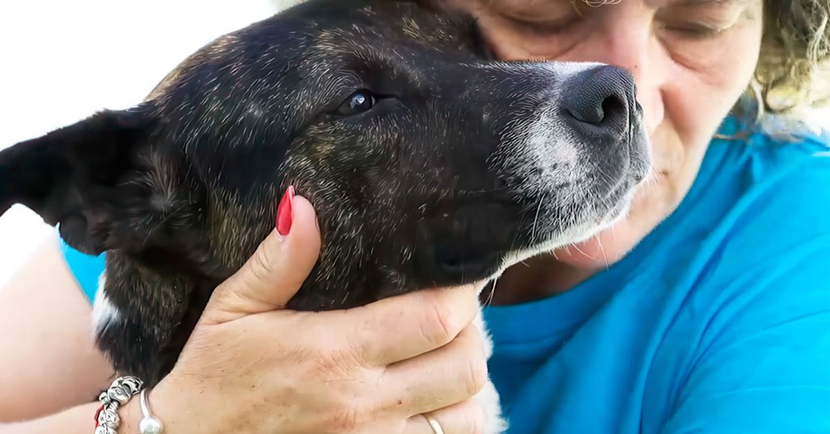 Celebramos 100 programas de respeto y amor a los animales