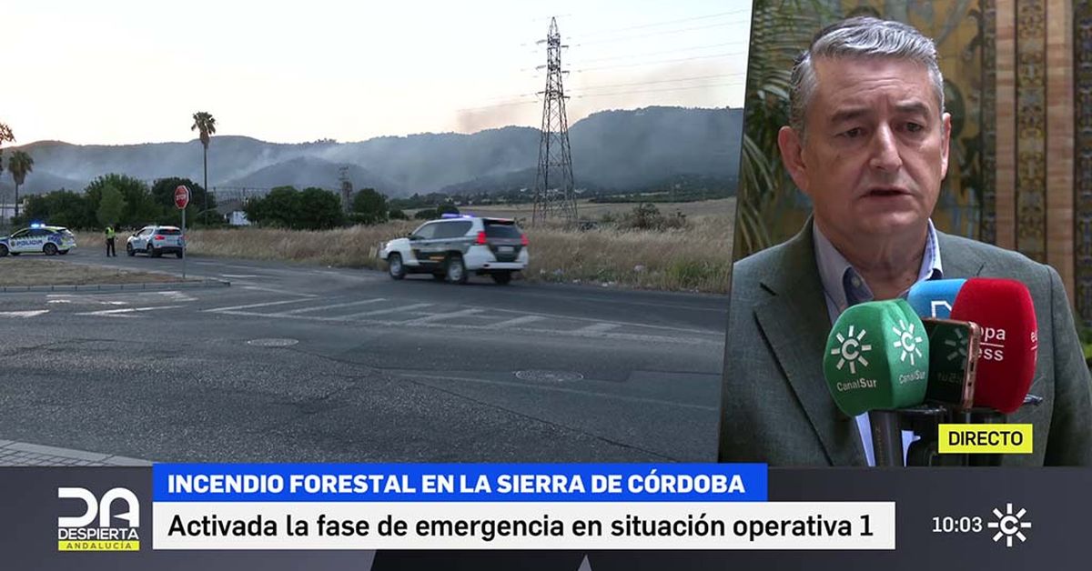 "Evolución favorable" del incendio aunque aún está activo
