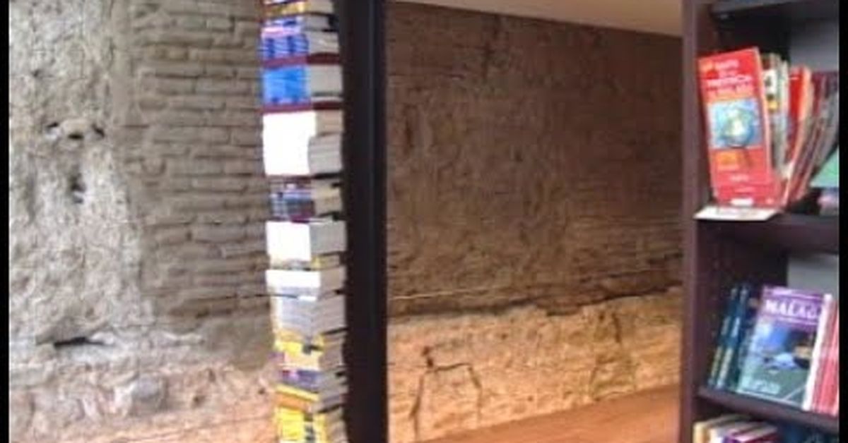 Proteo en Málaga, una librería en un espacio singular | Arquitectura