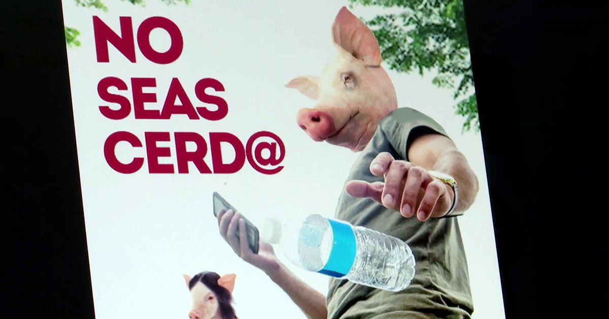 "No seas cerdo", campaña de limpieza en Camas