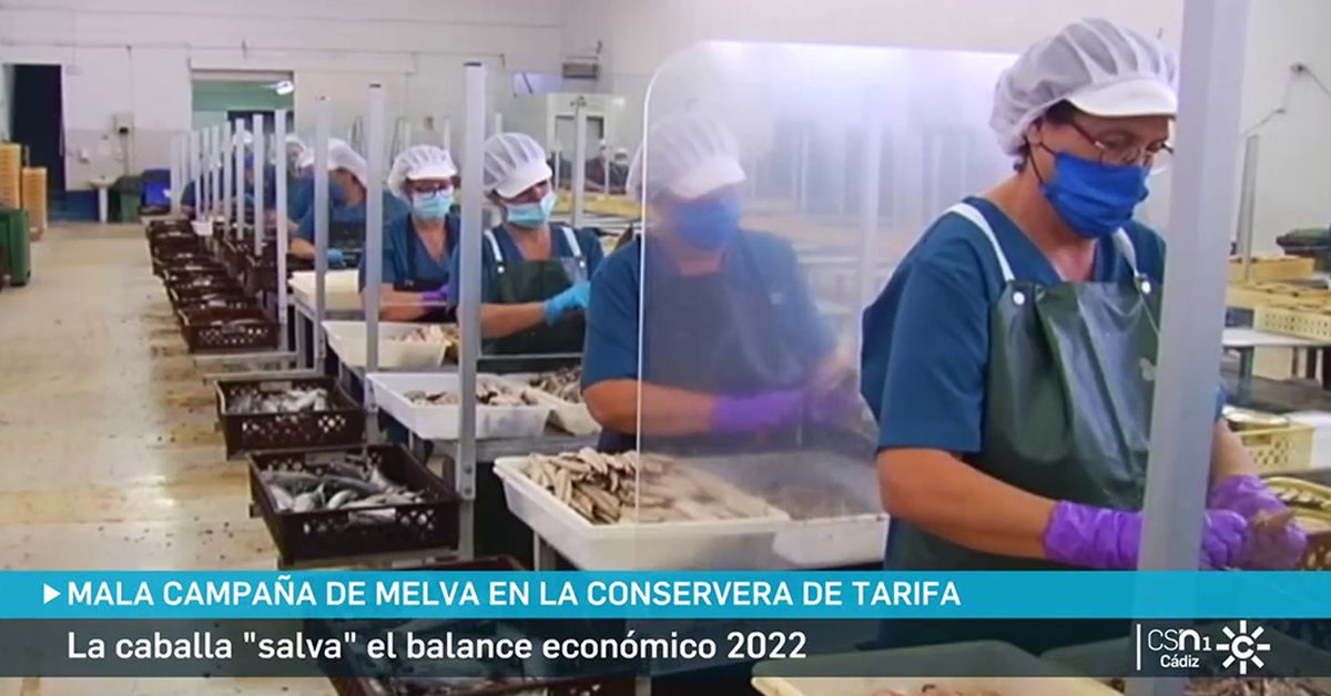 Mala campaña de la melva para la conservera de Tarifa