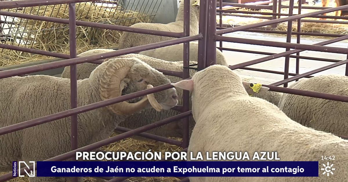 La lengua azul marca la celebración de Expohuelma