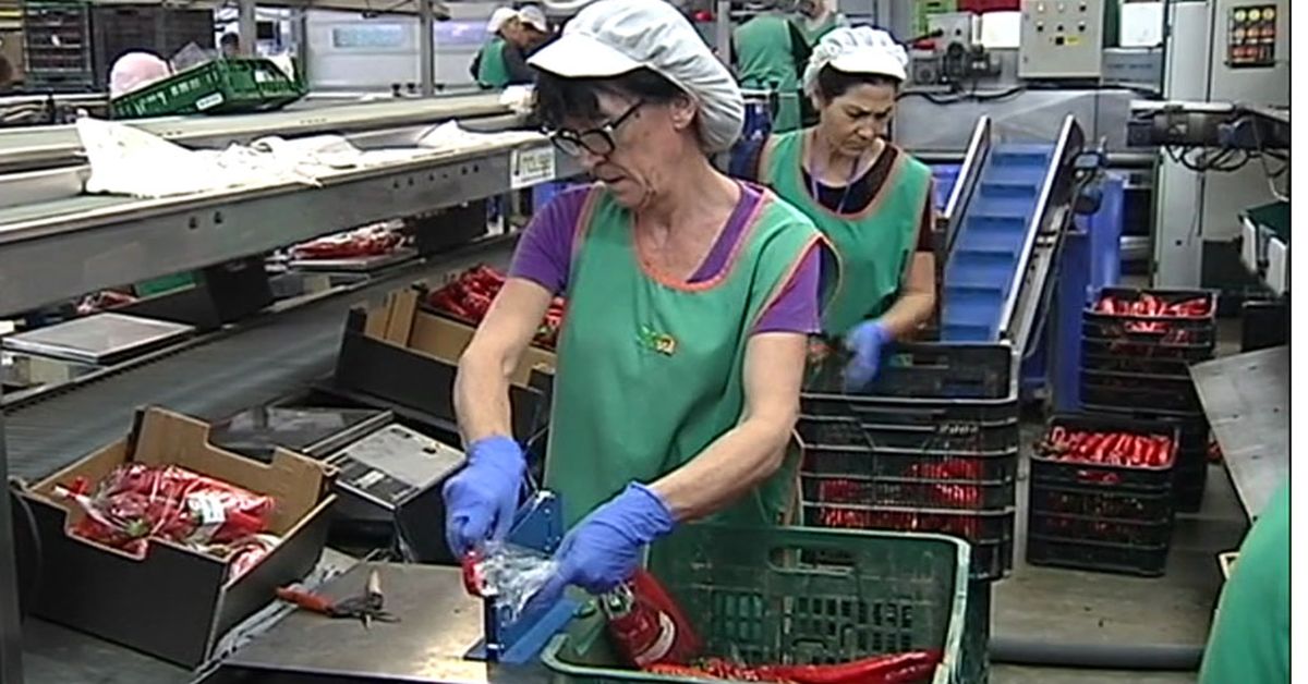Níjar busca situarse en cabeza de los cultivos ecológicos andaluces