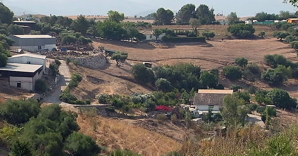 Detenido un vecino de Algar por la muerte de una mujer británica