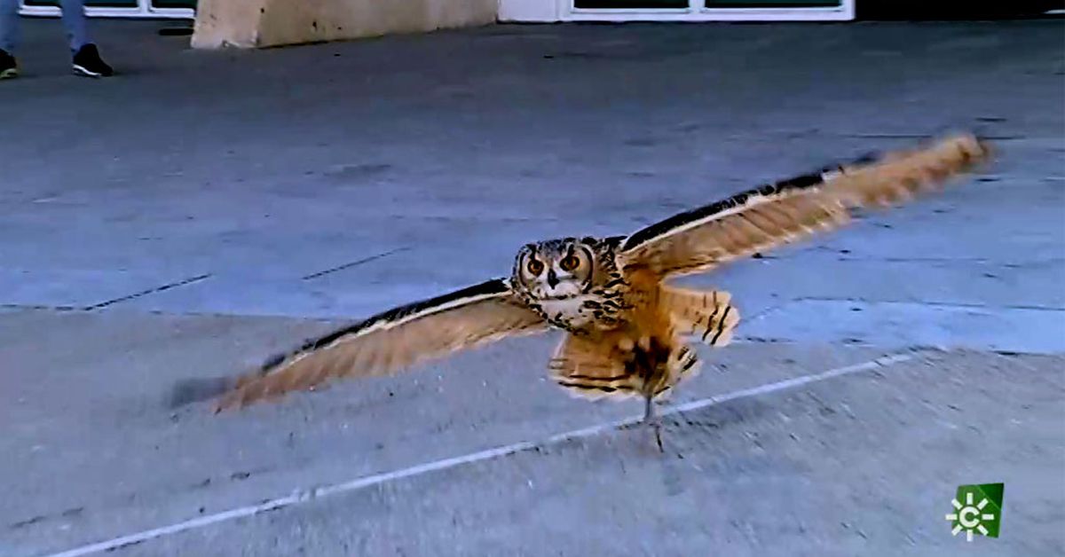 Controlar la fauna para proteger los cultivos