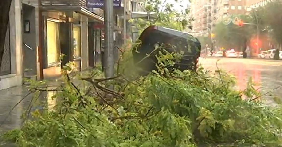 La lluvia y el viento provocan numerosas incidencias en Jaén y Sevilla